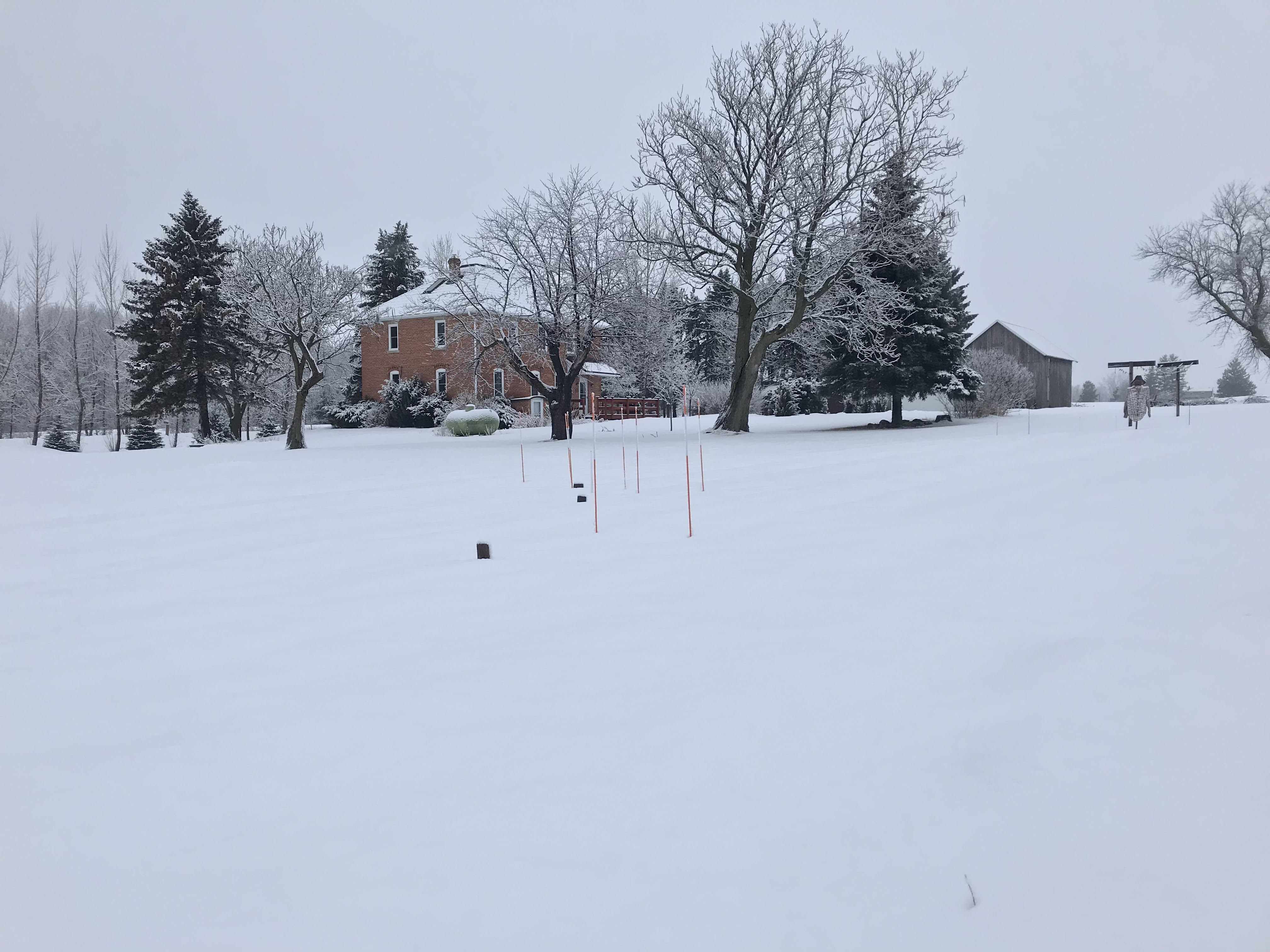 Garlic Process – FRESH | GOURMET | LOCAL